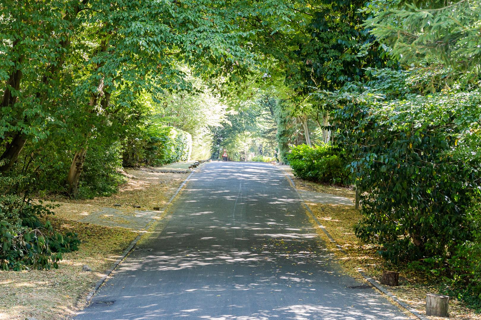 Firs Walk, Tewin, Welwyn – Bryan Bishop